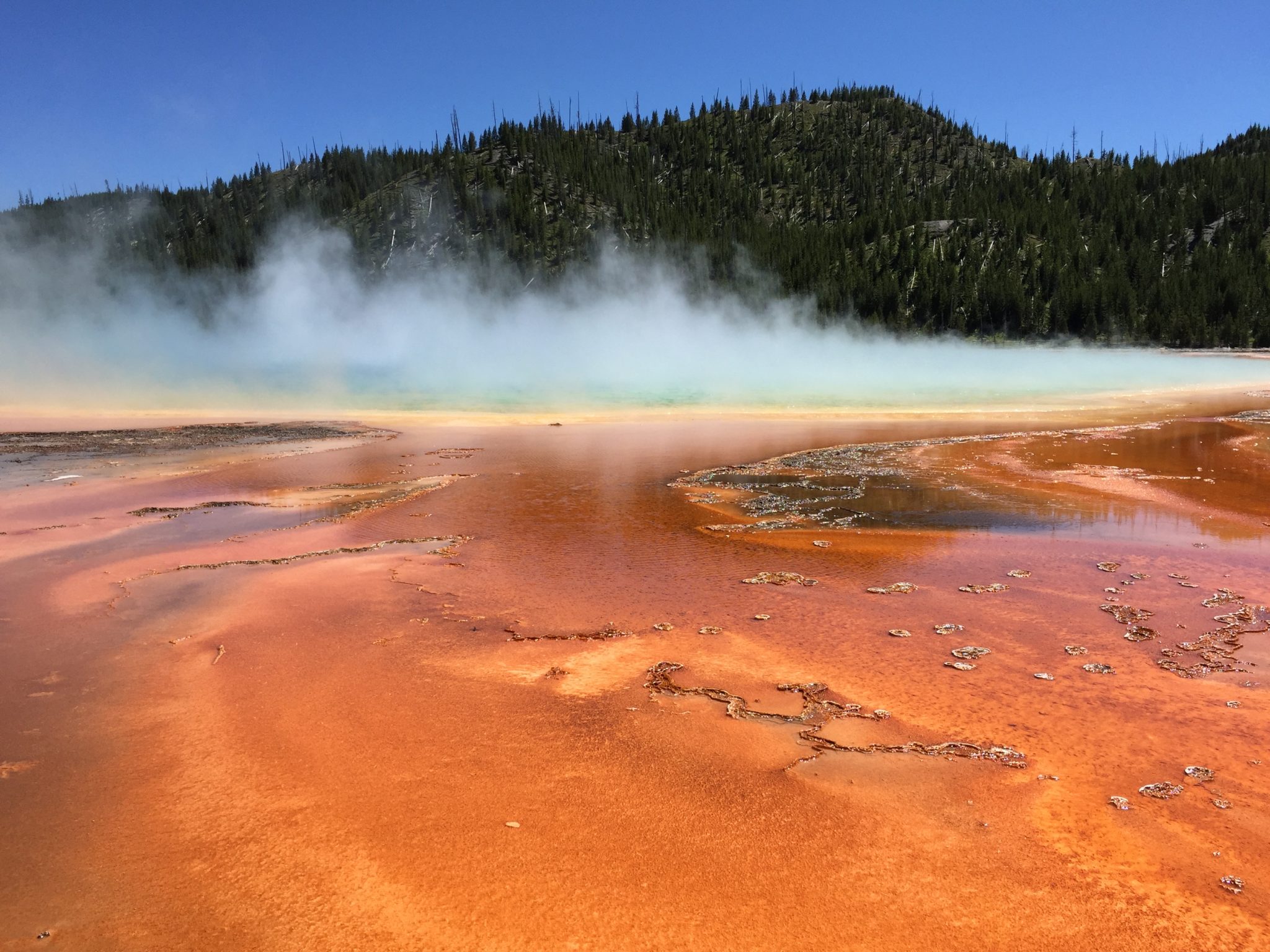 Virtual Tour: Yellowstone National Park | French-American Cultural ...